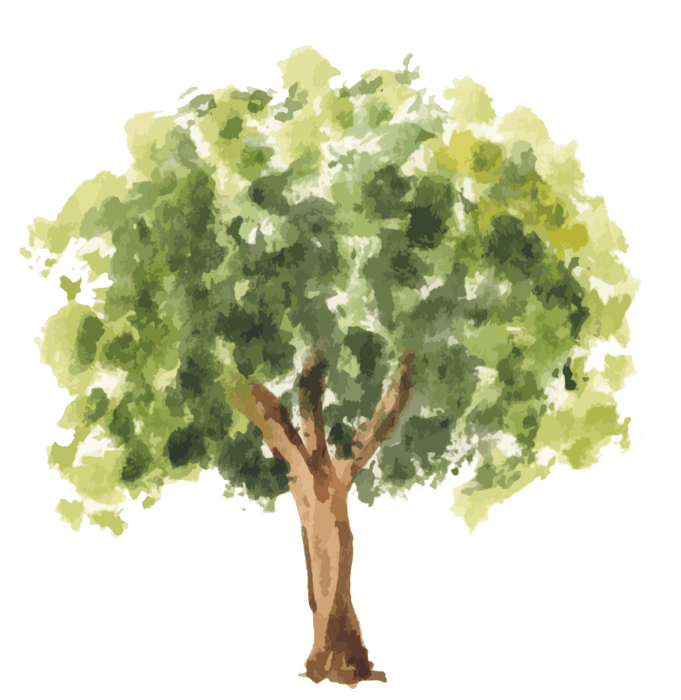 Watercolor Trees PNGs for Free Download