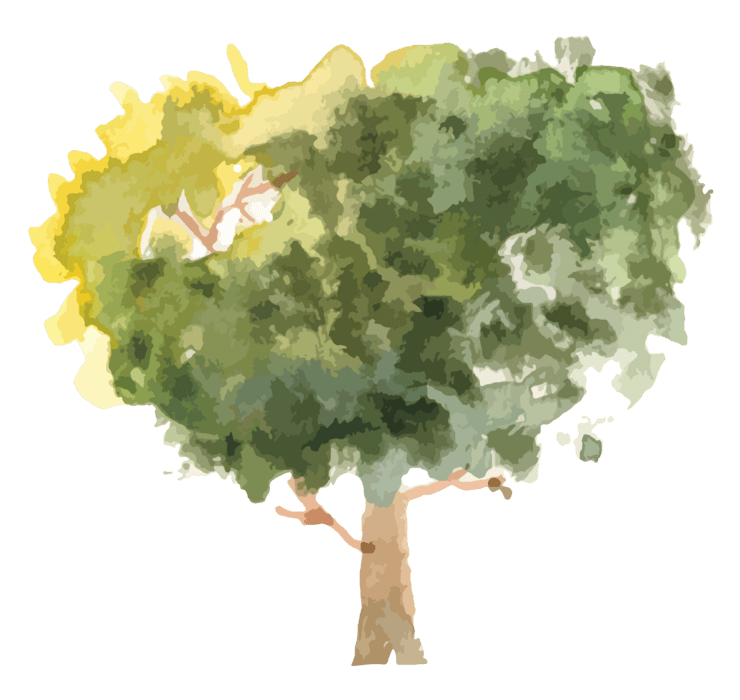 Watercolor Trees PNGs for Free Download