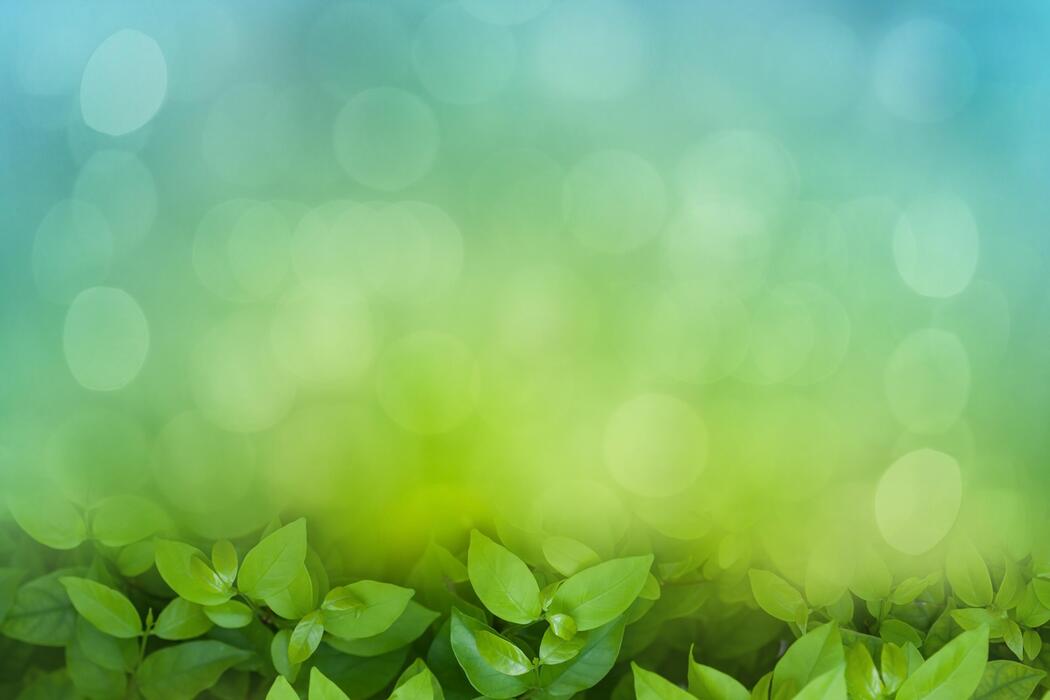 Green Background Hd Stock Photos, Images and Backgrounds for Free Download