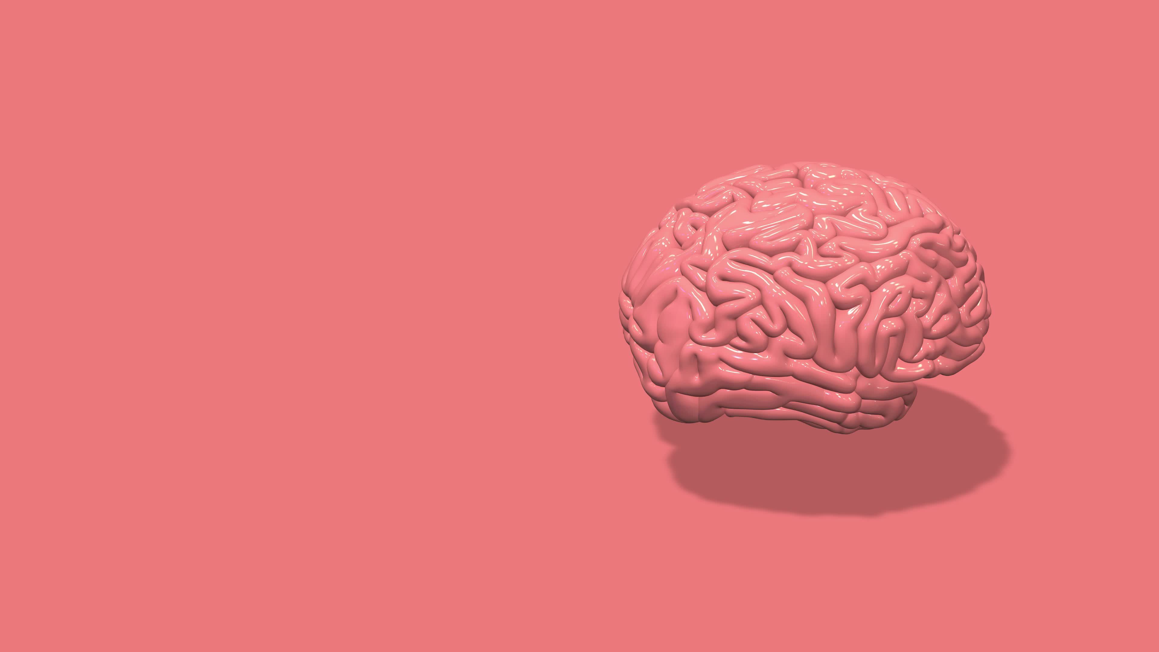 Looped 3D Human Brain Rotating Slow Motion, Chroma Key, Luma Matte ...