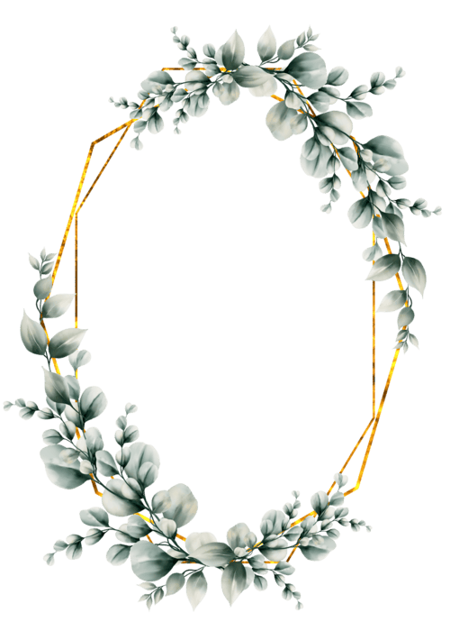 Eucalyptus Leaves PNGs for Free Download