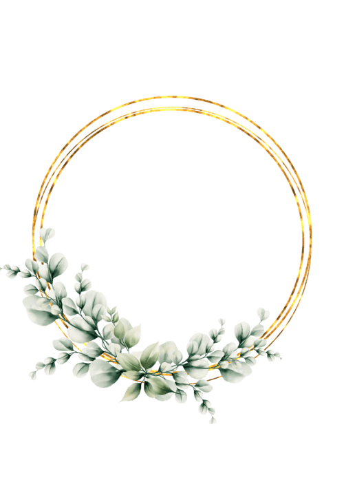 Eucalyptus Leaves PNGs for Free Download