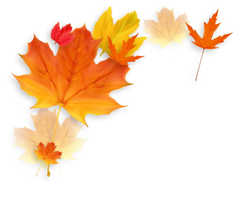 Fall Leaves PNGs for Free Download