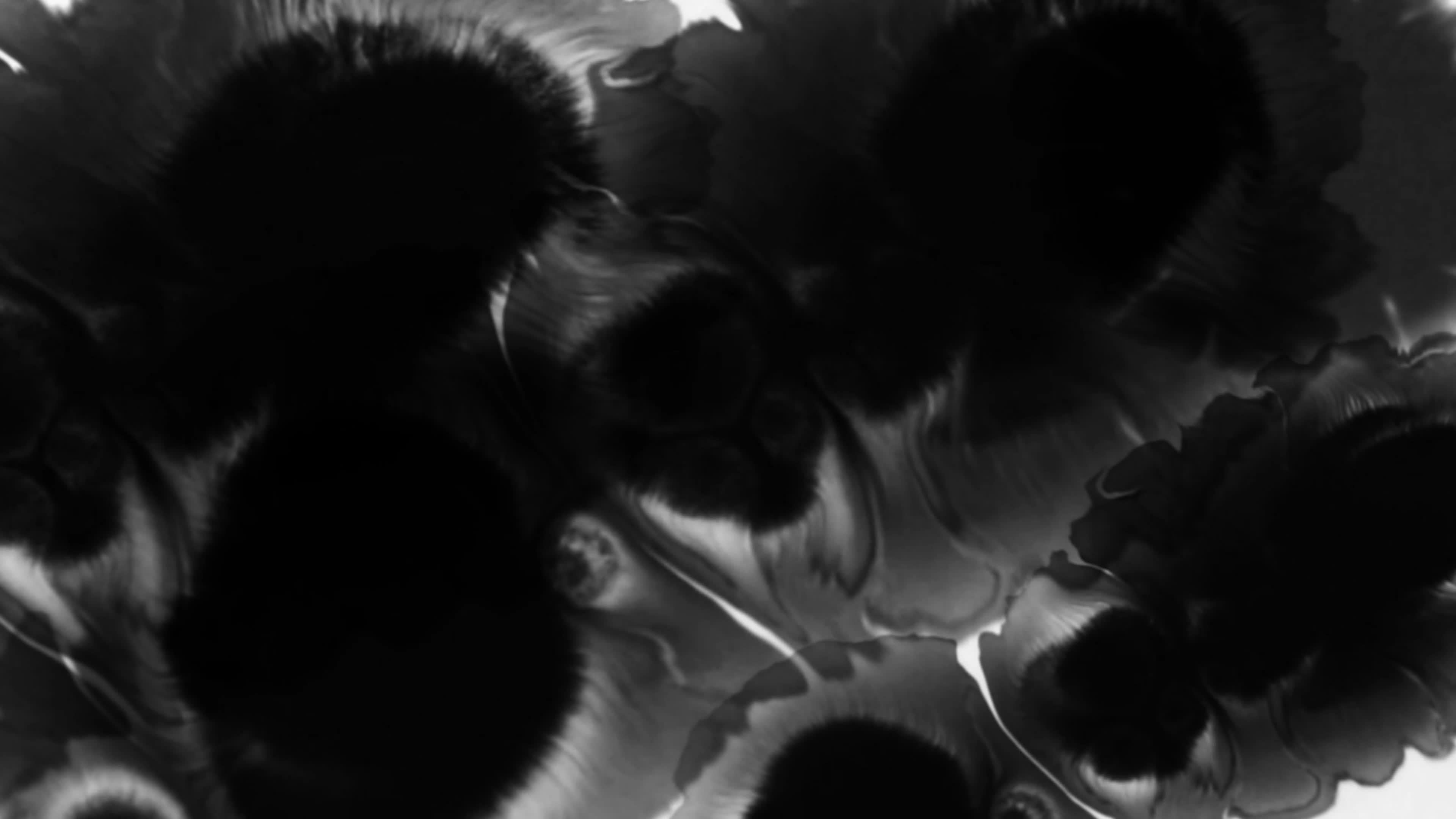 Black And White Background Loop Stock Video Footage For Free Download