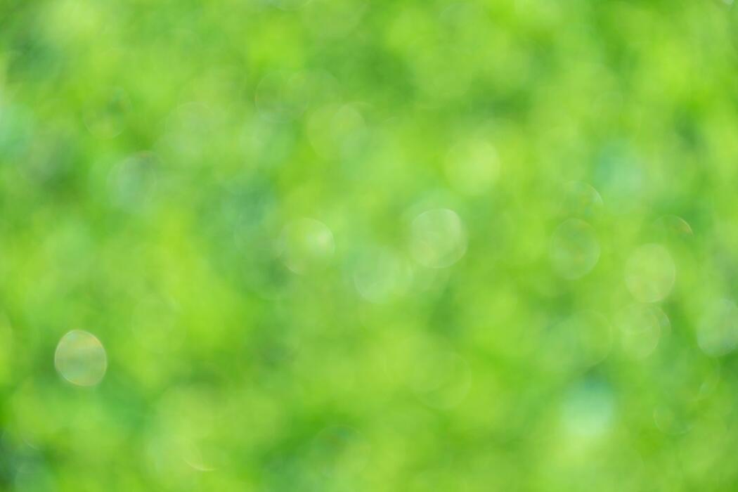 Backdrop Background Green Stock Photos, Images and Backgrounds for Free ...