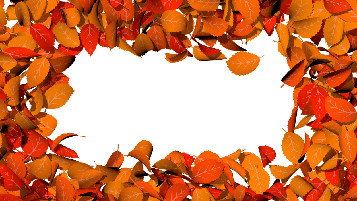 Thanksgiving Frame PNGs for Free Download