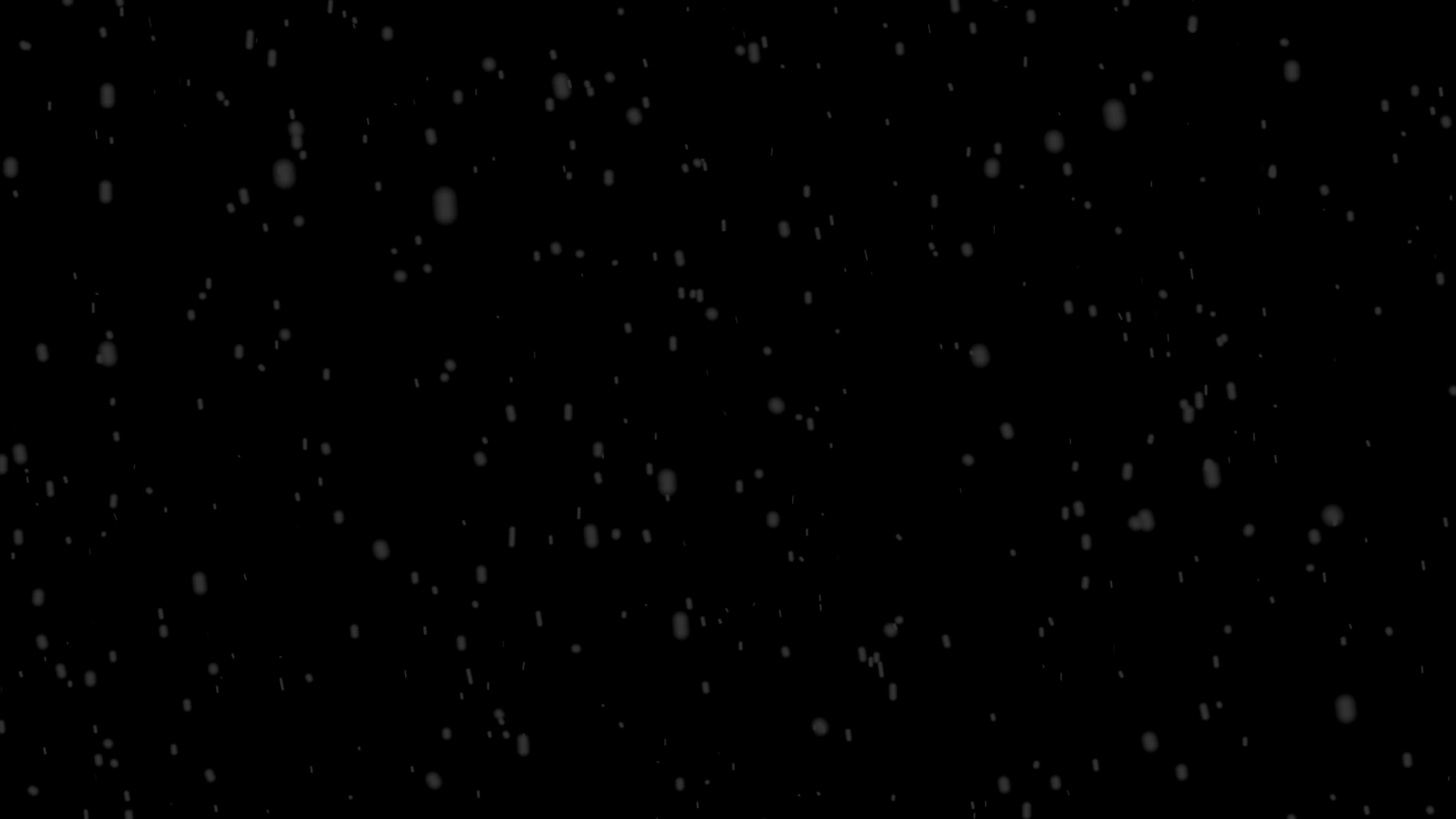 Snow Falling Loop Stock Video Footage for Free Download
