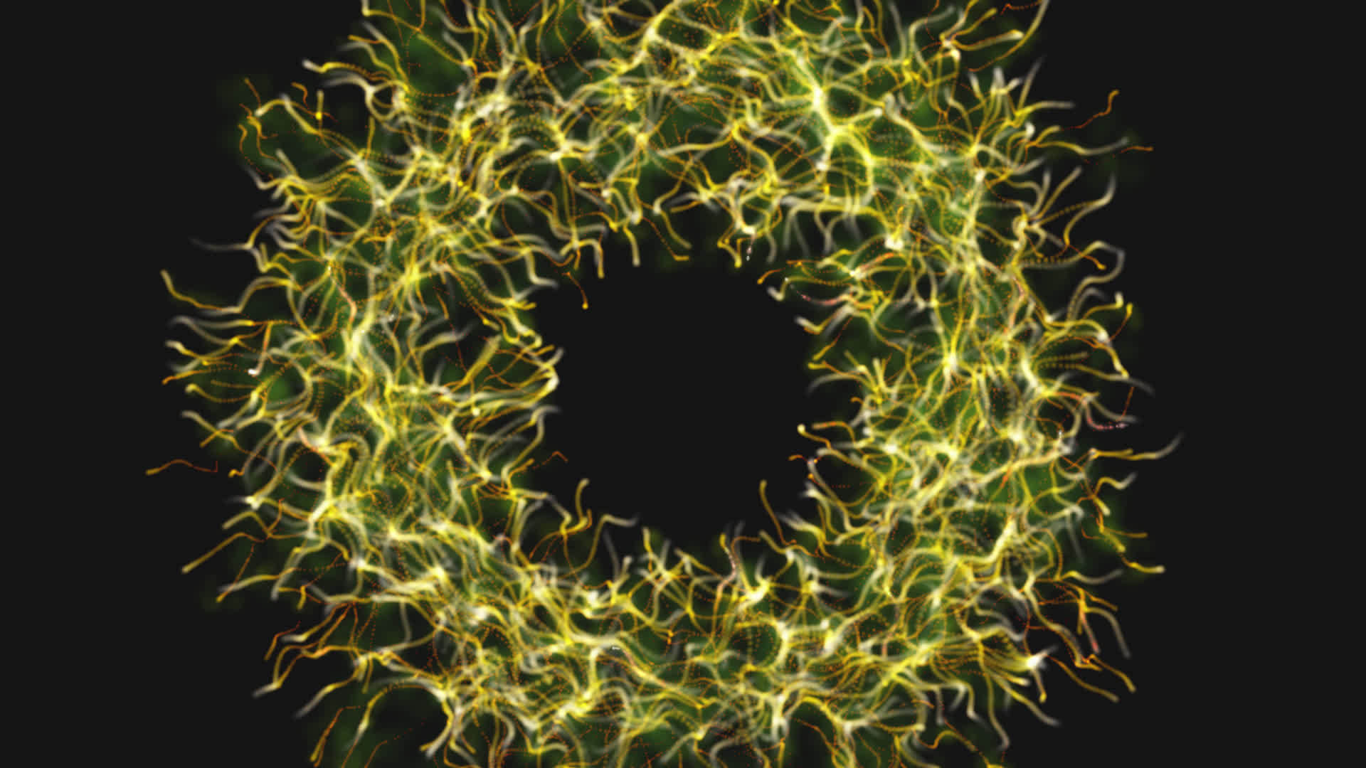 Abstract Particles Background Animation Video 11411555 Stock Video at Vecteezy