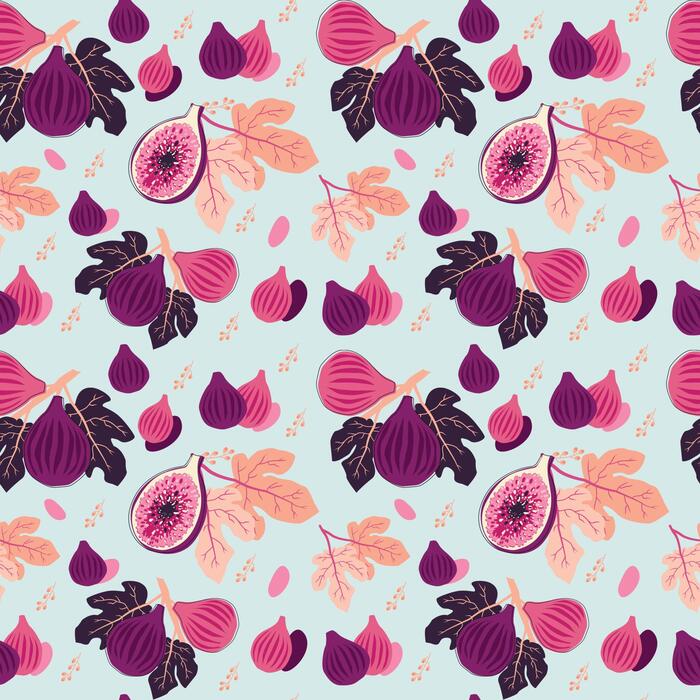 Fig Vector Art, Icons, and Graphics for Free Download