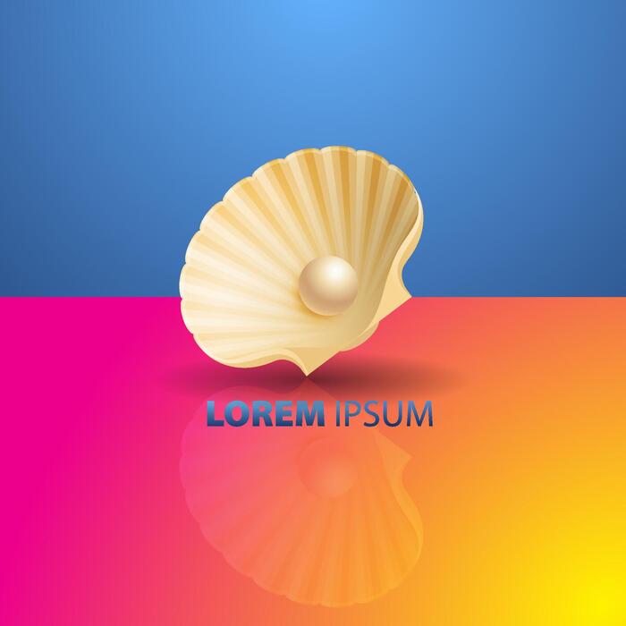 Shell Vector Art, Icons, and Graphics for Free Download