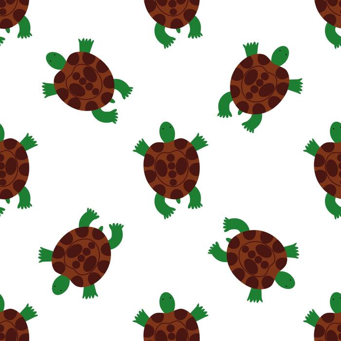 Turtle Shell Pattern Vector Art, Icons, and Graphics for Free Download