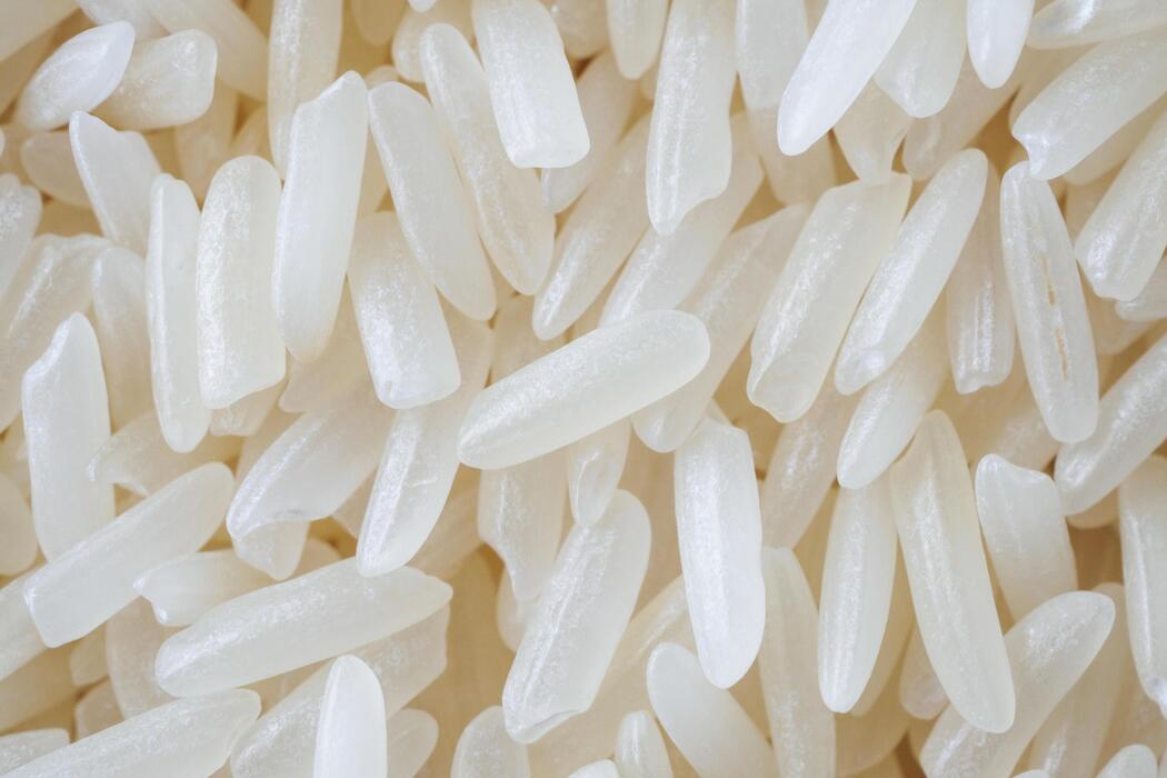 Rice Stock Photos, Images and Backgrounds for Free Download