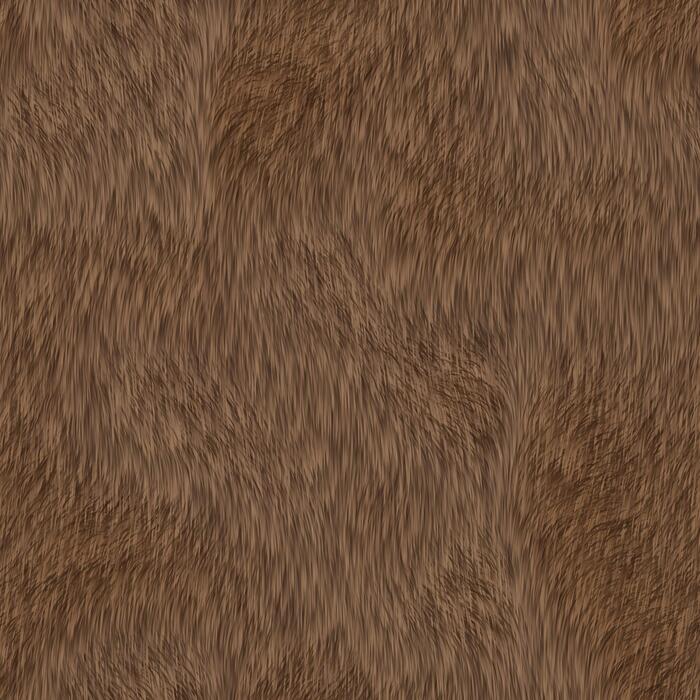 Bear Texture Stock Photos, Images and Backgrounds for Free Download