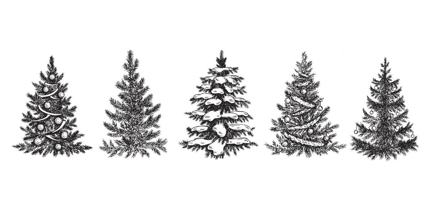 Page 2 | Pine Tree Line Drawing Vector Art, Icons, and Graphics for ...