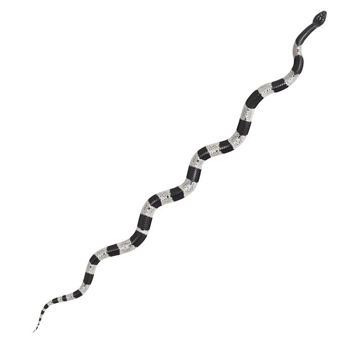 Snake Line Drawing Stock Photos, Images and Backgrounds for Free Download