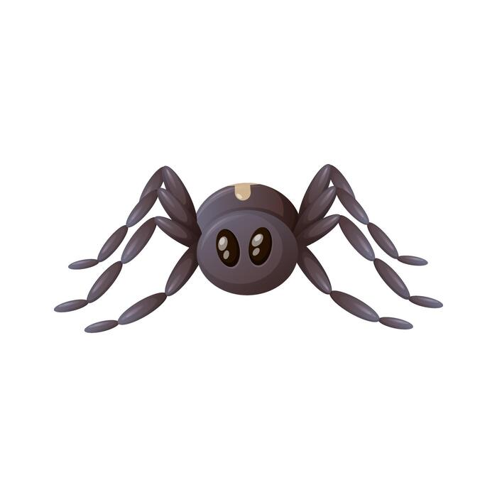 Jumping Spider Vector Art, Icons, and Graphics for Free Download