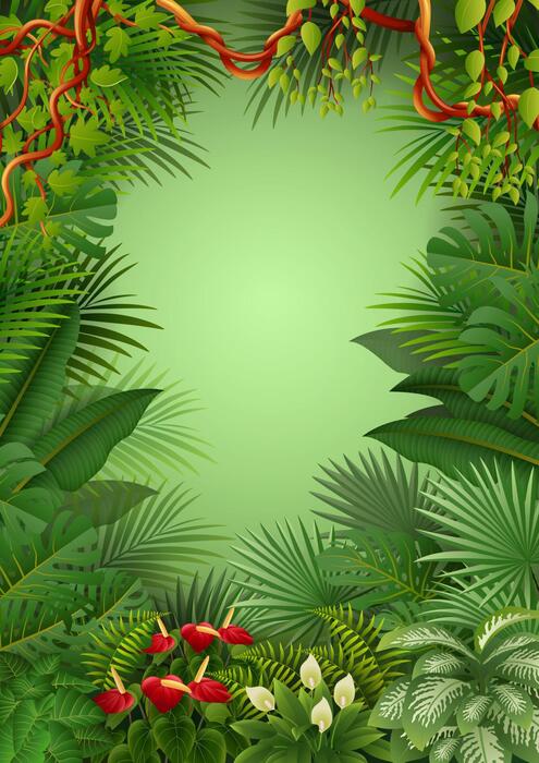 Amazon Rainforest Vector Art, Icons, and Graphics for Free Download