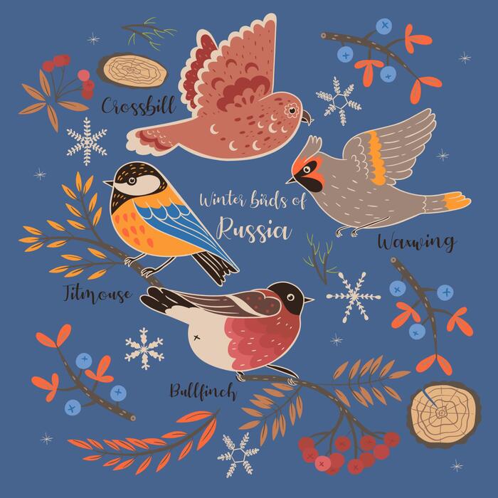 Winter Bird Vector Art, Icons, and Graphics for Free Download