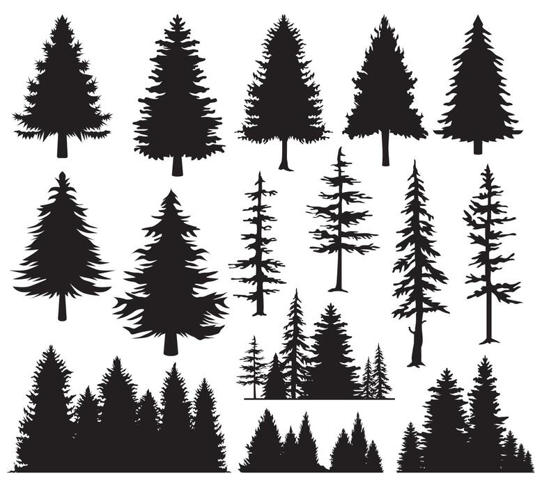 Tree Vector Png Fir Tree Vector Transparent Png Svg Vector File