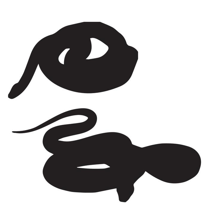 Python Silhouette Vector Art, Icons, and Graphics for Free Download