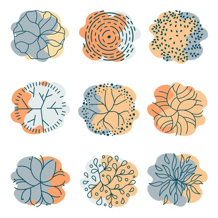 Tree Plan Vector Art, Icons, and Graphics for Free Download