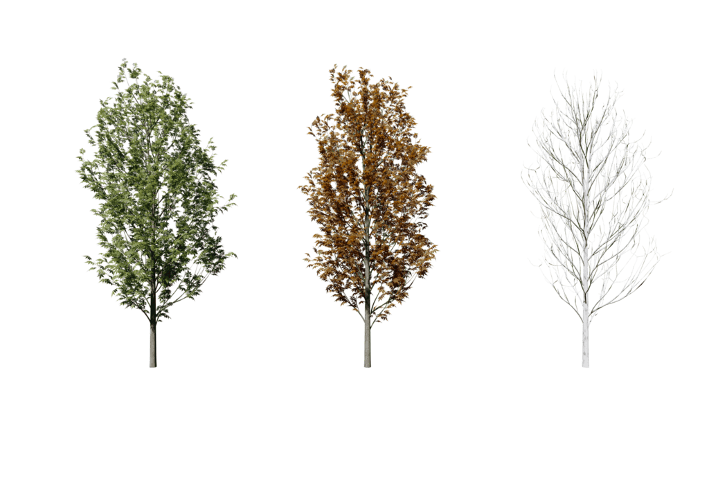 Tree Architecture PNGs for Free Download