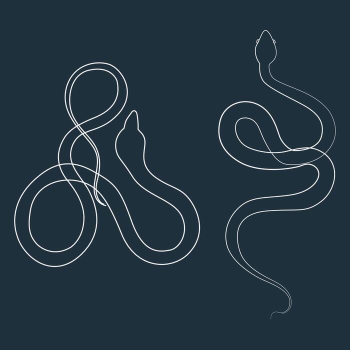 Snake Line Drawing Vector Art, Icons, and Graphics for Free Download