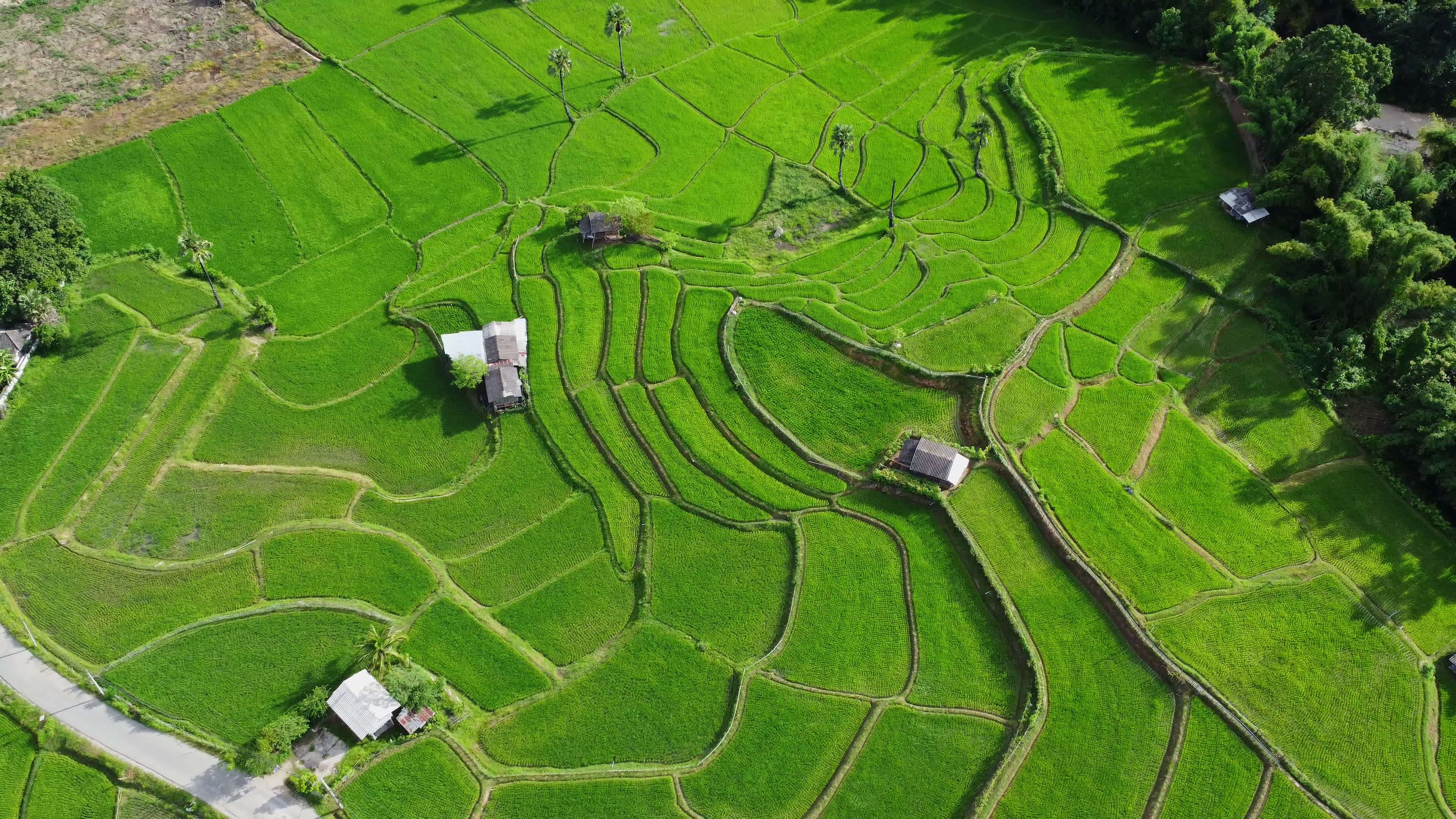 Aerial view of the green rice terraces on the mountains in spring ... Aerial view of the green rice terraces on the mountains in spring ...