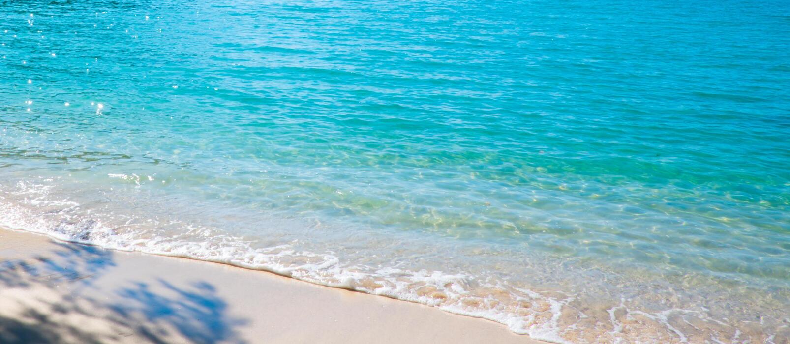 Beach Banner Stock Photos, Images and Backgrounds for Free Download
