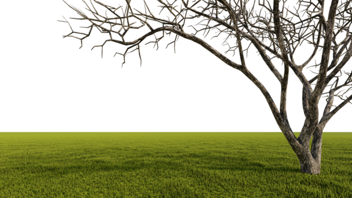 Grass Field Pngs For Free Download