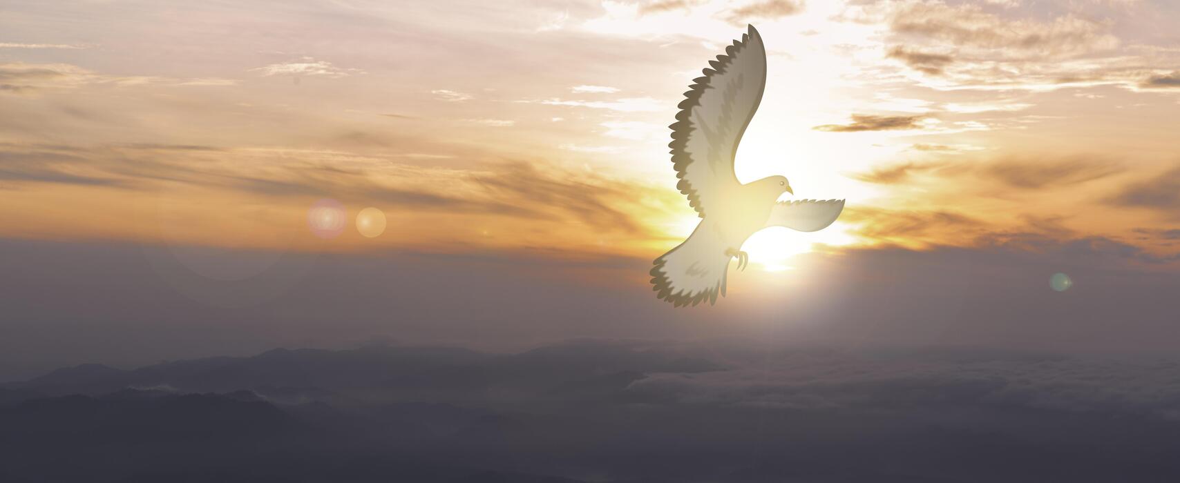 Holy Spirit Stock Photos, Images and Backgrounds for Free Download