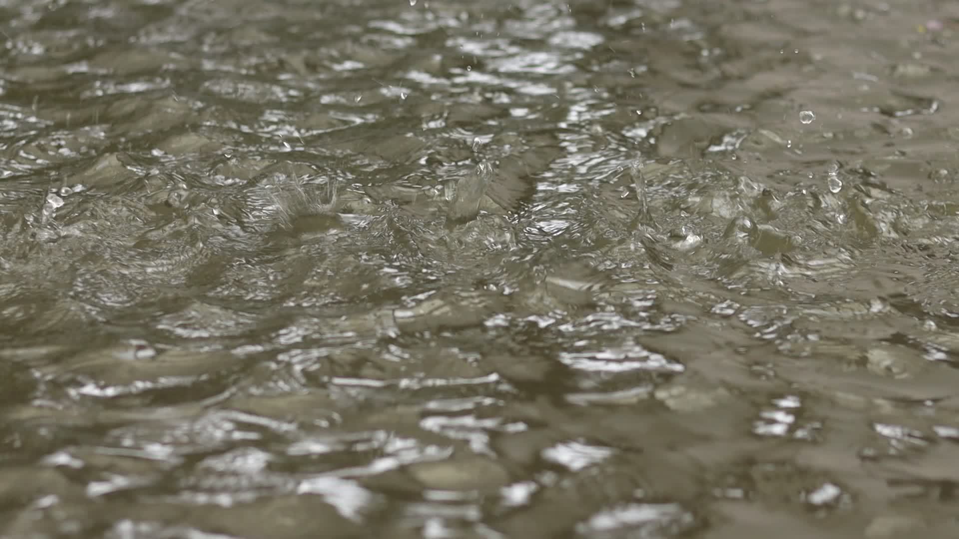 Rain drops and drizzle falling on a muddy puddle outdoor 12615365 Stock Video at Vecteezy