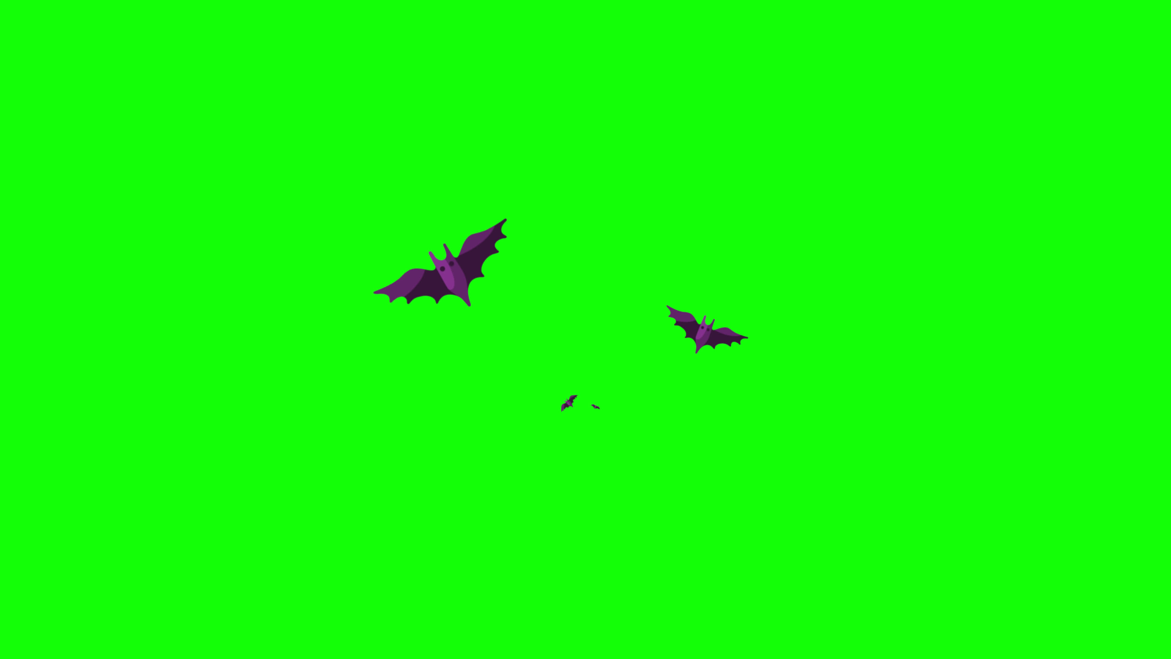 halloween bat flying loop motion graphics video transparent background ... halloween bat flying loop motion graphics video transparent background ...