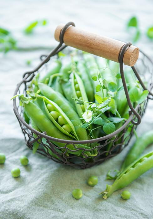 Pea Pod Stock Photos, Images and Backgrounds for Free Download