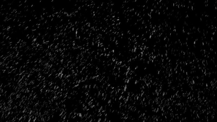 Snowing Loop Stock Video Footage for Free Download