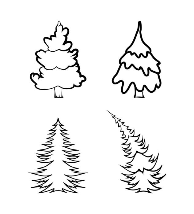 Pine Tree Line Drawing Vector Art, Icons, and Graphics for Free Download