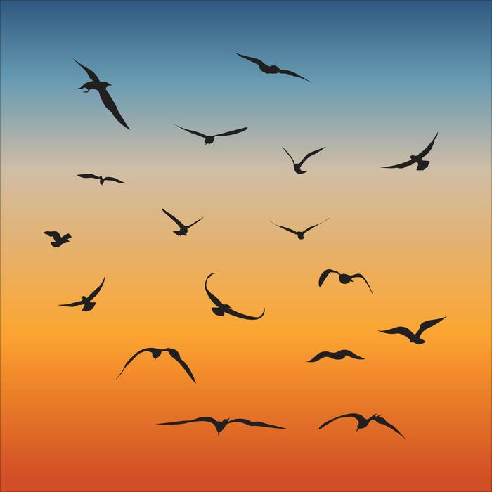 Flying Bird Vector Art, Icons, and Graphics for Free Download