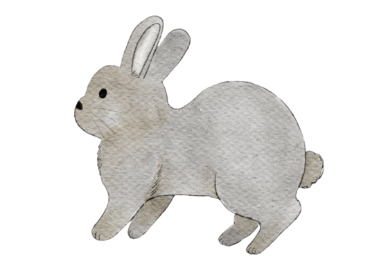 Rabbit Drawing Pngs For Free Download