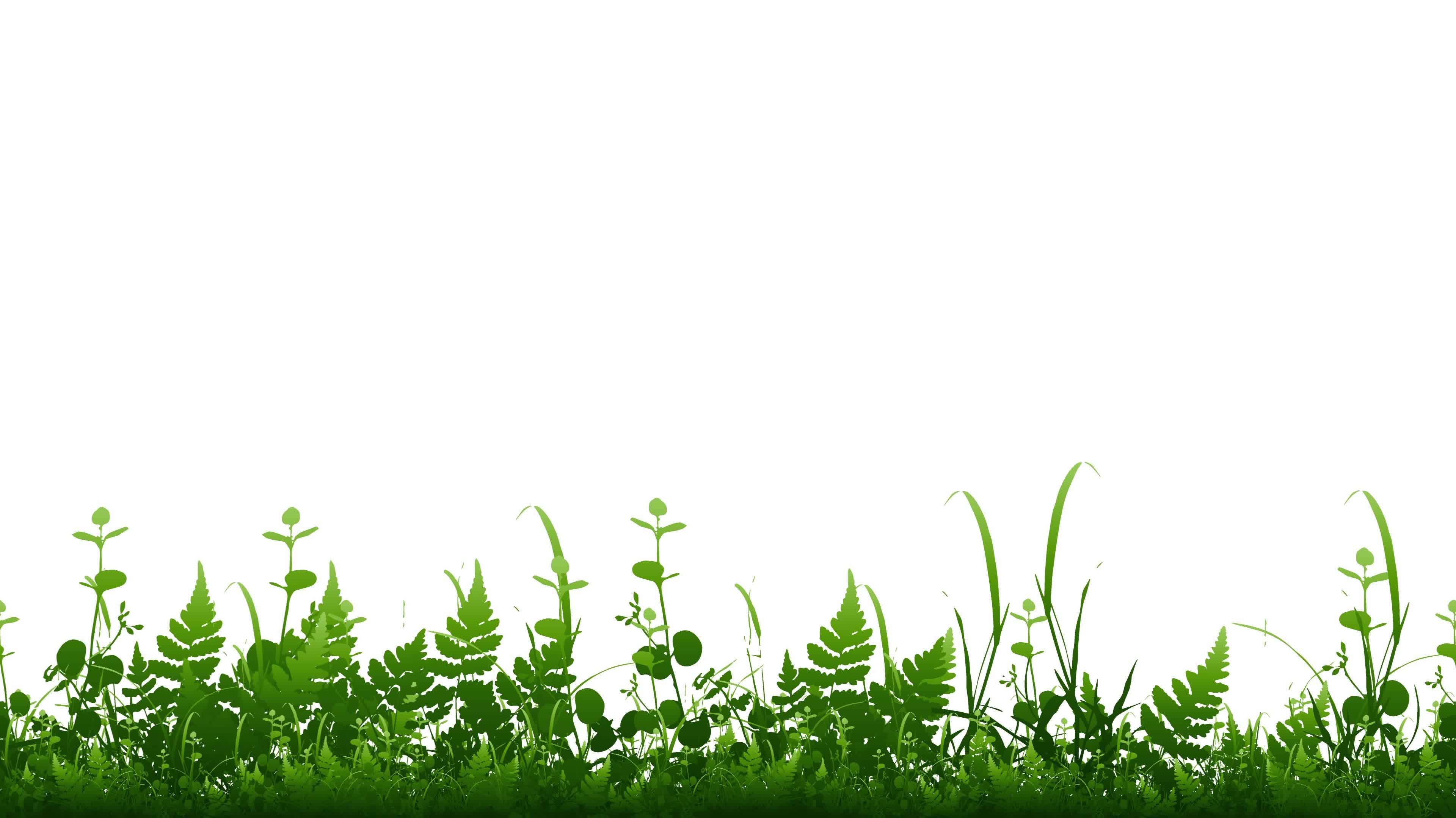 Animated Cartoon Background Looped Animation Of Grass Video Animation With Grass Leaves