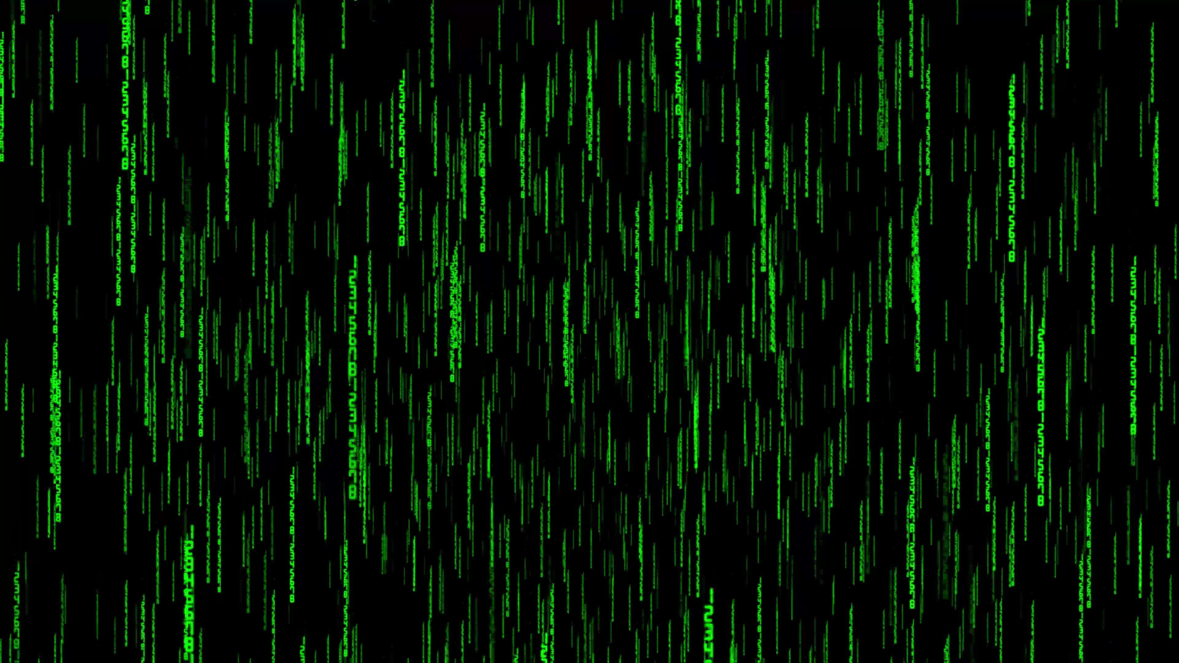 Matrix Video Web Programming Coding 13323101 Stock Video At Vecteezy