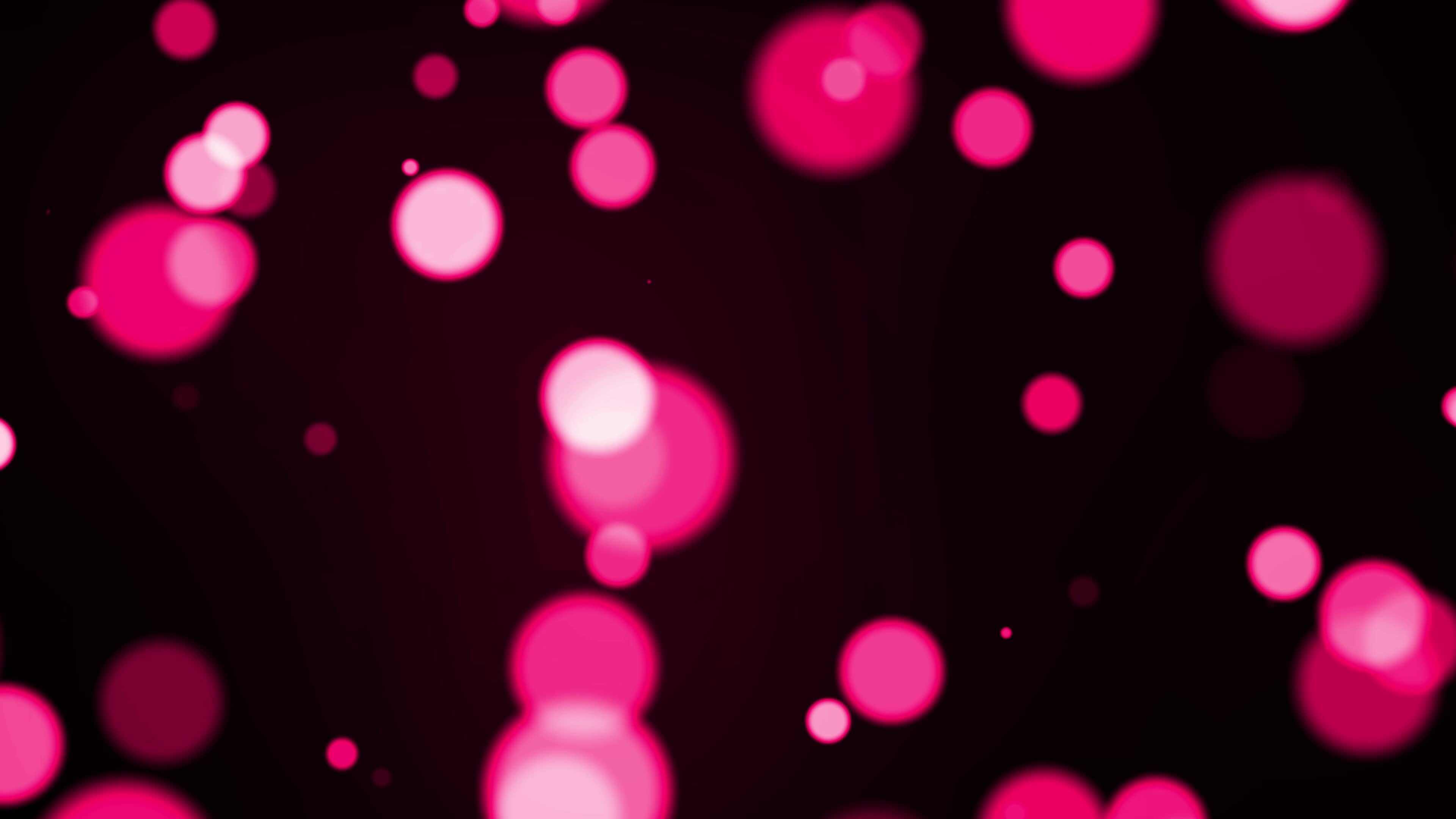 Moving pink particles background with bokeh seamless loop animation on ...
