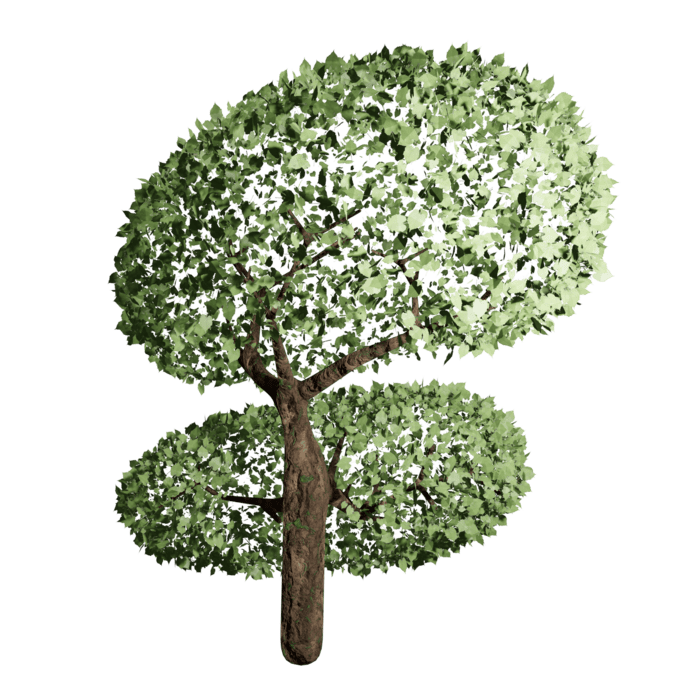 Spring Tree PNG Free Images with Transparent Background - (4,611 Free ...