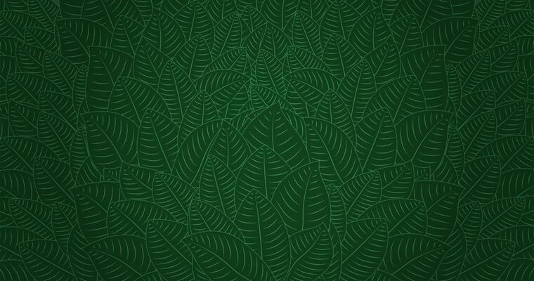 Leaf Pattern Vector Art, Icons, and Graphics for Free Download