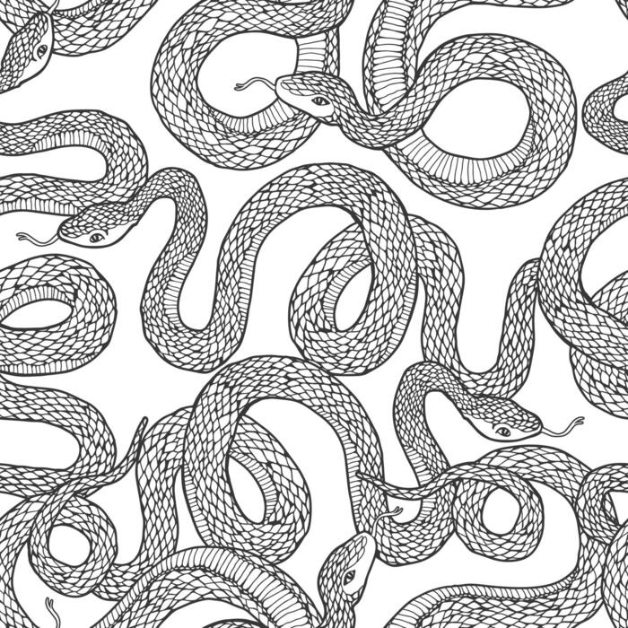 Snake Pattern Vector Art, Icons, and Graphics for Free Download