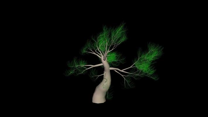 Growing Tree Animation Stock Video Footage for Free Download