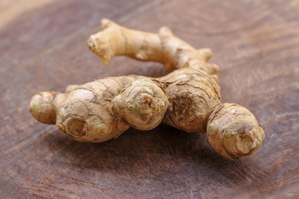 Ginger Stock Photos, Images and Backgrounds for Free Download
