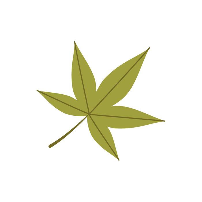 Maple Tree Branch Vector Art, Icons, and Graphics for Free Download