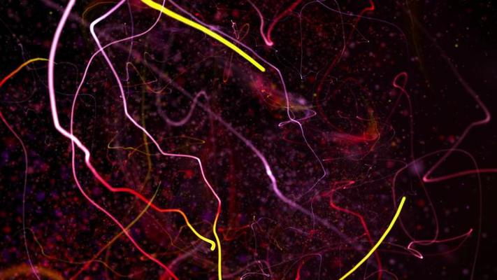 Loop Stock Video Footage for Free Download