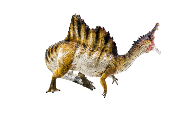Dinosaur Skeleton Pngs For Free Download