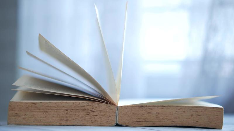 Flipping pages of a book 13826457 Stock Video at Vecteezy